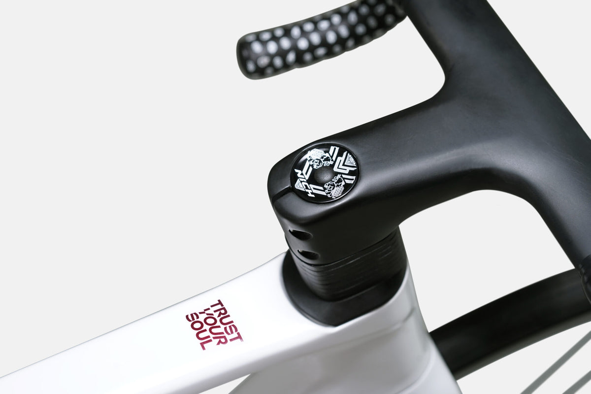 NICH Legend4 頂級公路車車架組【全能型】(白紅塗裝) – CHRIS CYCLE